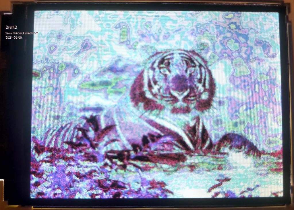 TheBackShed.com - Forum